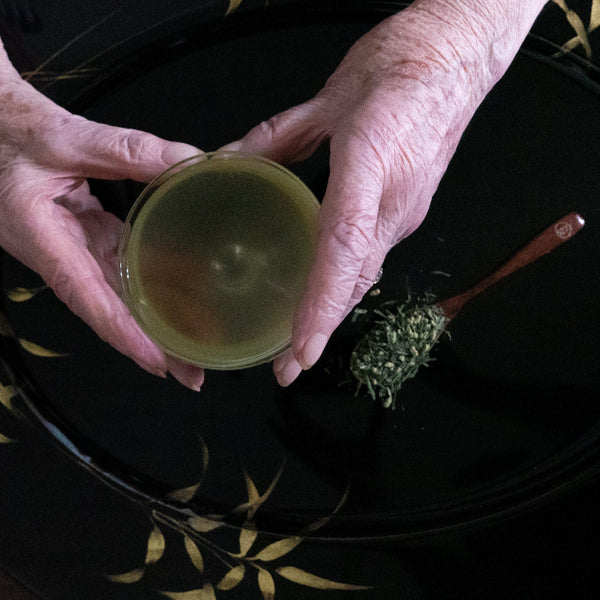 LONGEVITY | Secrets from a Centenary - sorate